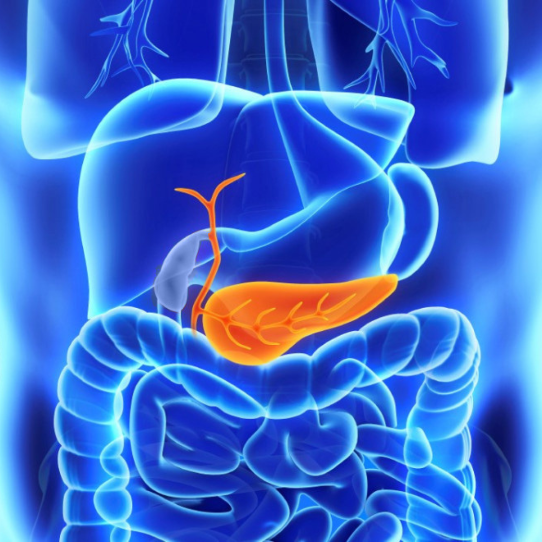 Dr. Carlos Hernandez-Cassis – Endocrinologist, Diabetes, Metabolism ...